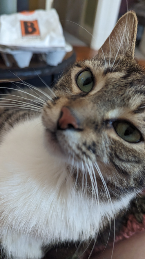 Create a Pretty and Handsome Tier List - TierMaker