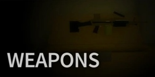 Project Lazarus Weapons Tier List (Community Rankings) - TierMaker