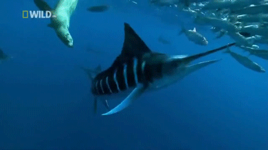 Create a project ps 4.0 Tier List - TierMaker