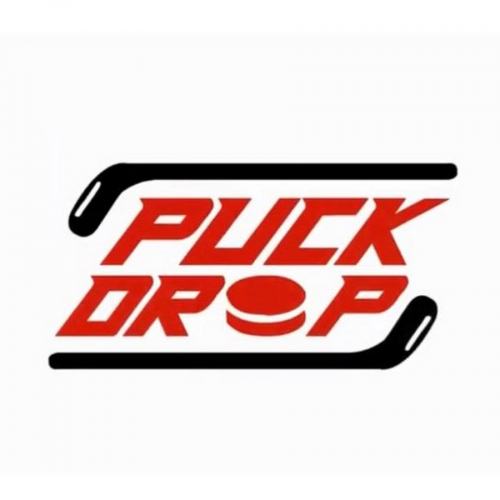 Create a Puck Drop Tier List - TierMaker