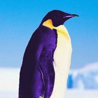 Create a Purple Penguins GPA Tier List - TierMaker