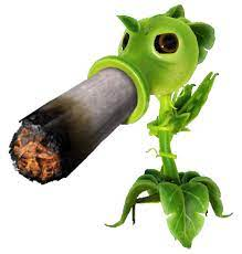 pvz2 peashooters Tier List (Community Rankings) - TierMaker