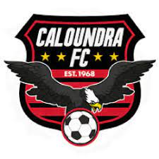 Create a qld teams Tier List - TierMaker