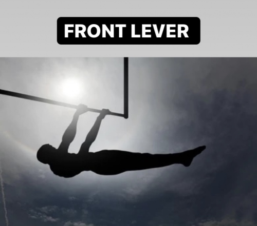 Create A QUALI SONO I MIGLIORI ESERCIZI DI TIRATA DI CALISTHENICS Tier create-a-quali-sono-i-migliori-esercizi-di-tirata-di-calisthenics-tier