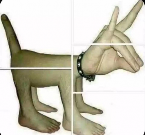 Create a Quantum in H:SR Tier List - TierMaker