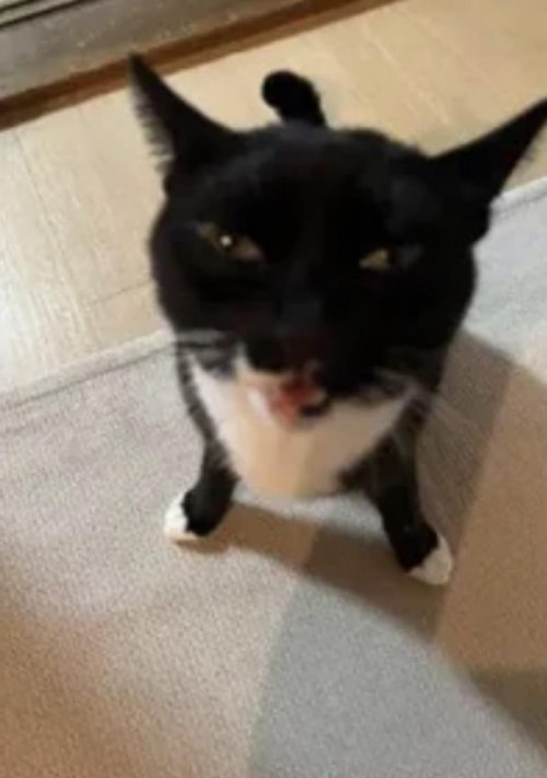 Create a r/Wunkus List Tier List - TierMaker