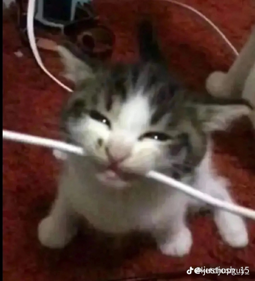 Create a random Tier List - TierMaker