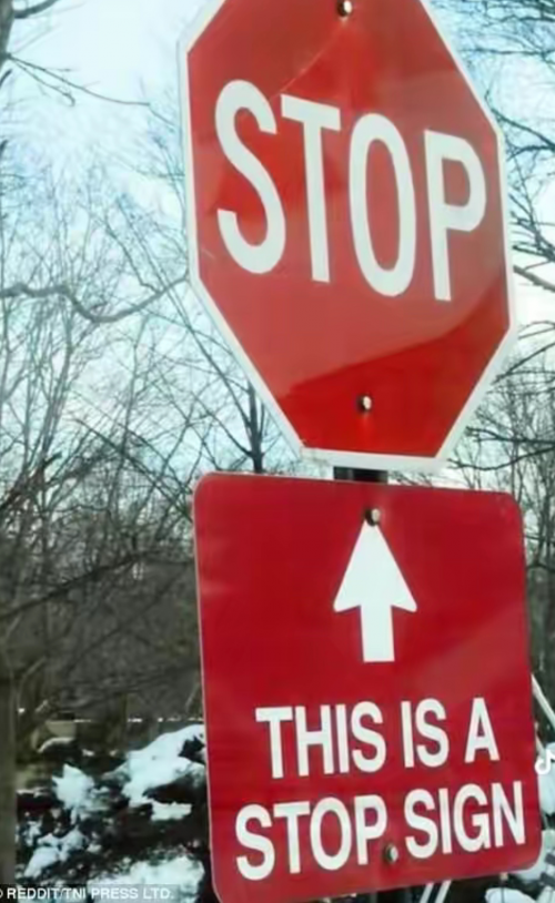 Create a Random cartoon characters (don’t bother) Tier List - TierMaker