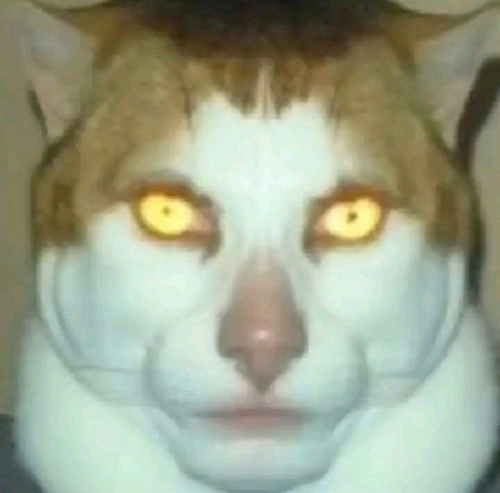 Random characters ranking Tier List (Community Rankings) - TierMaker