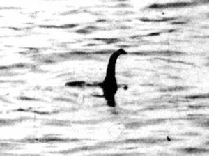 Create a Random Cryptid tierlist Tier List - TierMaker