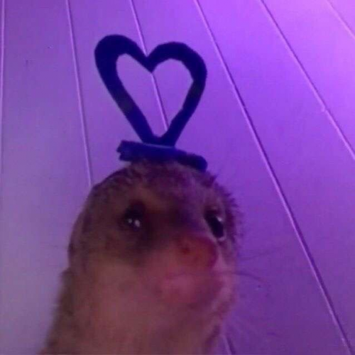 random kpop boy visual ranking Tier List (Community Rankings) - TierMaker