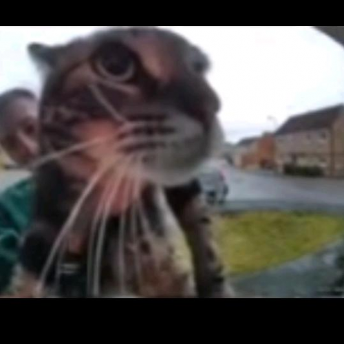 Create a random shows + films Tier List - TierMaker