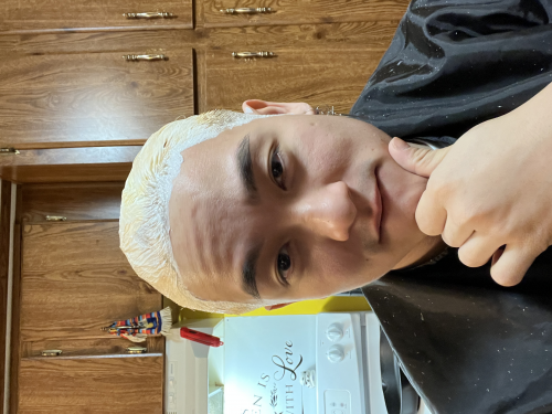 Random Woods Tier List (Community Rankings) - TierMaker