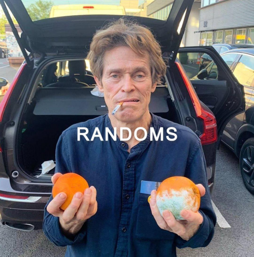 Create a Randoms Tier List - TierMaker