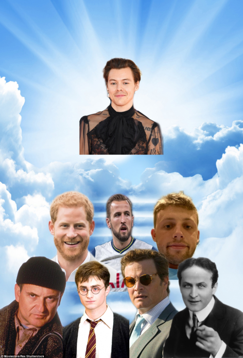 Create a rank famous harrys Tier List - TierMaker