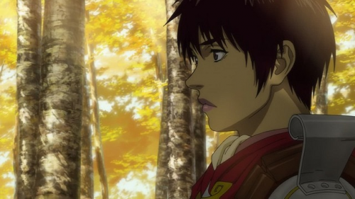 Ranking Casca's Outfits: Updated Edition Tier List (Community Rankings ...