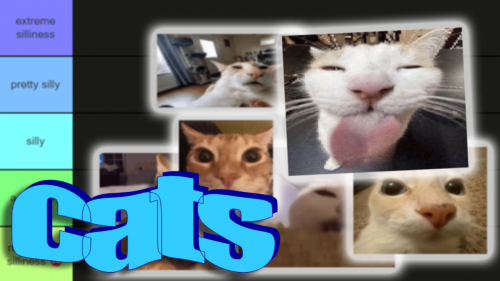 Create a ranking cats based on their silliness Tier List - TierMaker