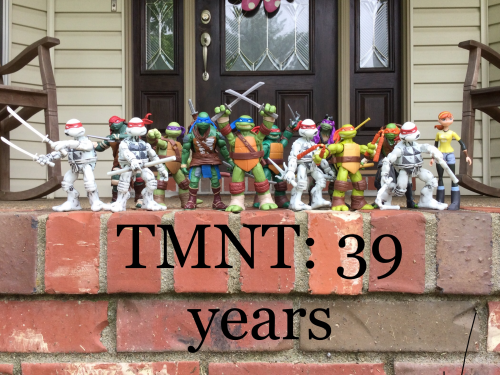 Create a Ranking EVERY SINGLE TMNT VARIATION OF EACH TMNT CHARACTER ...
