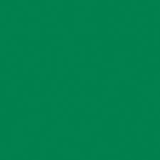 Create a Ranking Green Guys Tier List - TierMaker