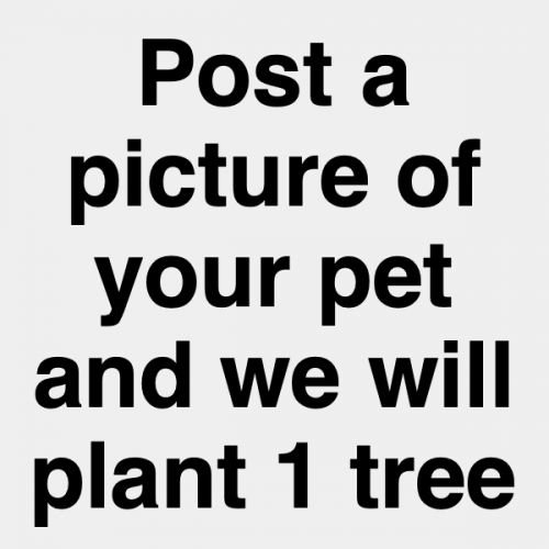 Create a Ranking Popular Instagram Compilations Tier List - TierMaker