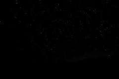 Rate Pokemon Tier List (Community Rankings) - TierMaker