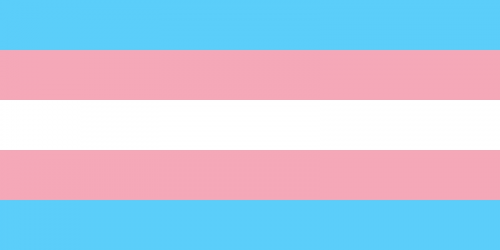 Rate trans youtubers/tiktokers Tier List (Community Rankings) - TierMaker