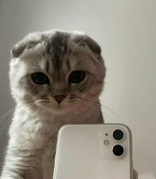 rating games Tier List (Community Rankings) - TierMaker