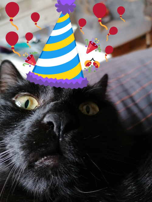 Create a Rating Memes - Bday Tier List - TierMaker