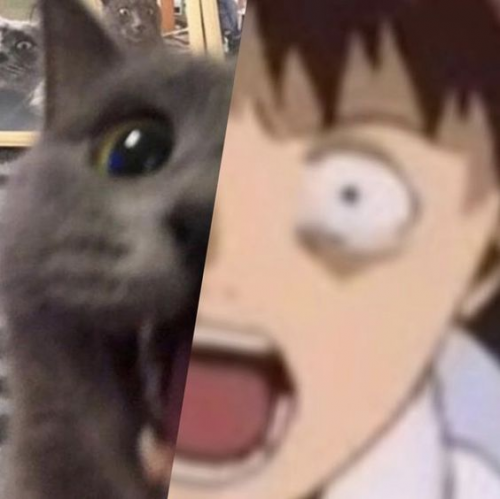 rating r2da mounts Tier List (Community Rankings) - TierMaker