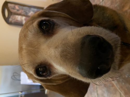 redemption era countries [WIP] Tier List (Community Rankings) - TierMaker