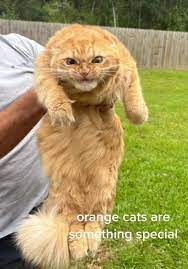 Create a Restaurants TIERLIST Tier List - TierMaker