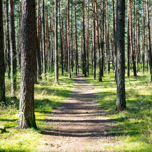 Revertouter tierlist Tier List (Community Rankings) - TierMaker