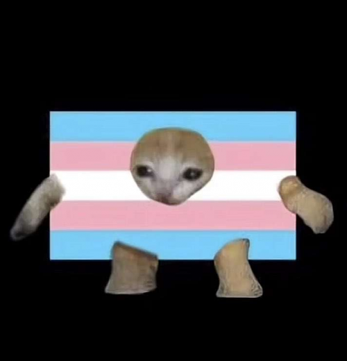 Create A Revs Hot Ocs Tier List Tiermaker