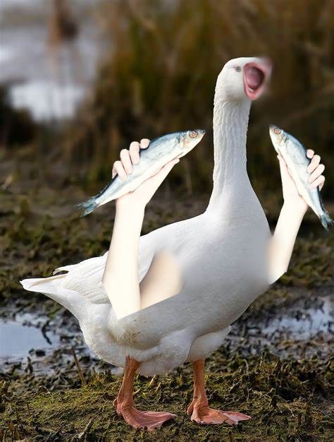 roguelike/lite games Tier List (Community Rankings) - TierMaker