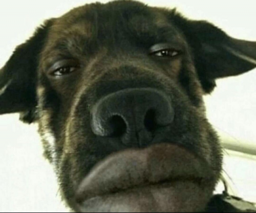 Create a roguelike prototype class tiers Tier List - TierMaker