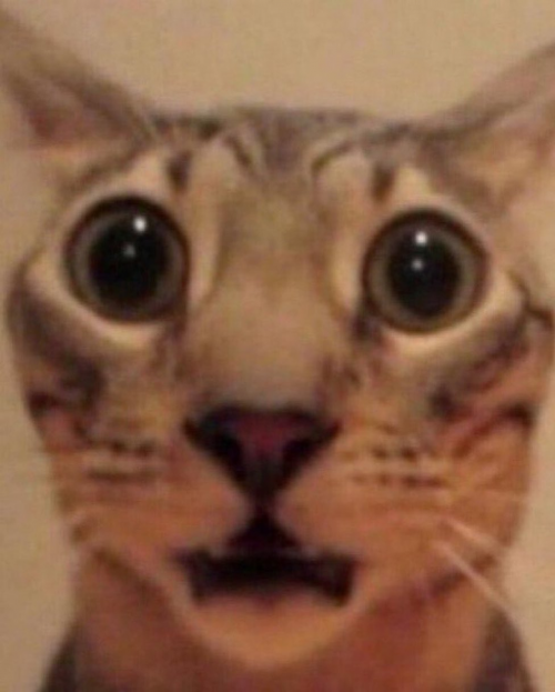 Ror2 void items Tier List (Community Rankings) - TierMaker