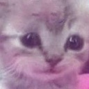 Create a Rover Chamber Emotes Tier List - TierMaker