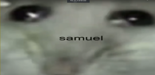 samuel the rat Tier List (Community Rankings) - TierMaker