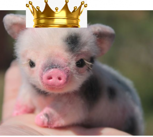 Create a sans au power tier Tier List - TierMaker