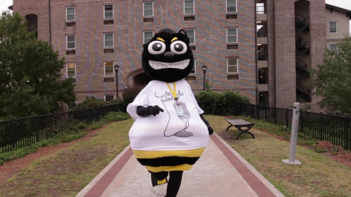 Create a SCAD Classes Tier List - TierMaker