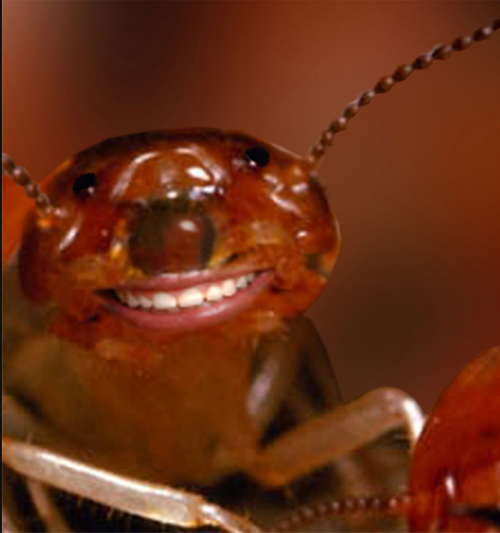 Create a School Classes Tier List - TierMaker