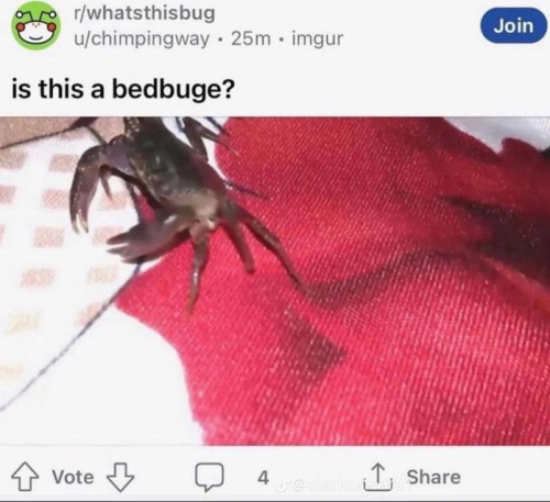 Create a school classes Tier List - TierMaker