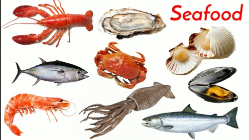 Create a Sea Food Tier List - TierMaker