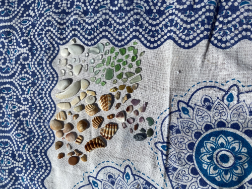 Create a SEAGLASS AND SEASHELL RANKS Tier List - TierMaker