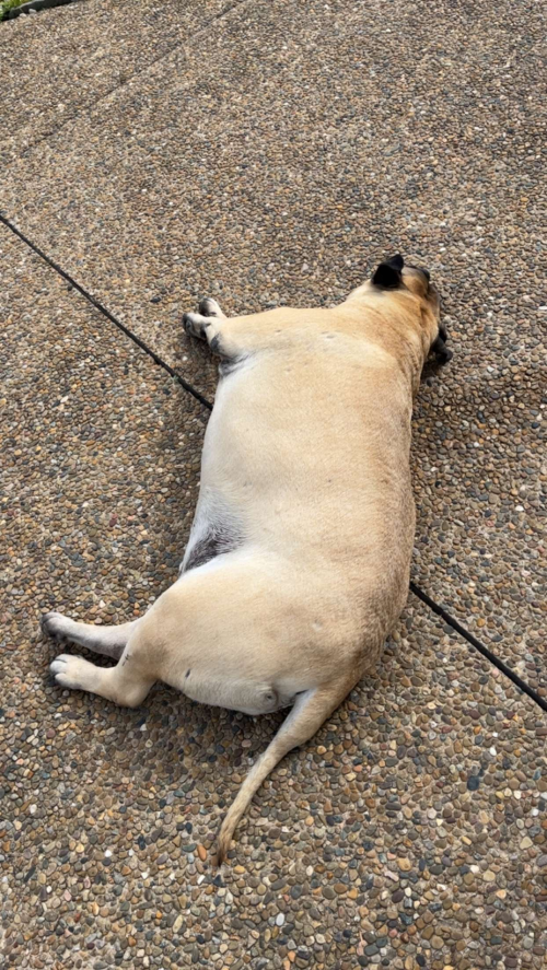 SEC SOCCER PLAYERS Tier List (Community Rankings) - TierMaker