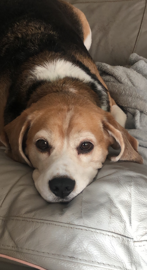 sesh Tier List (Community Rankings) - TierMaker