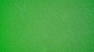 Create a Shades of Green Tier List - TierMaker