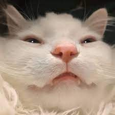 Create a Sidetracked day beatmap filler Tier List - TierMaker