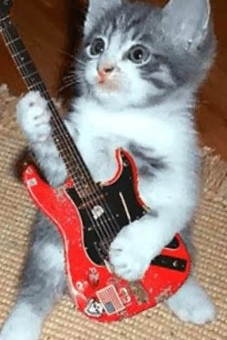 Siege Elite Skins Tier List (Community Rankings) - TierMaker