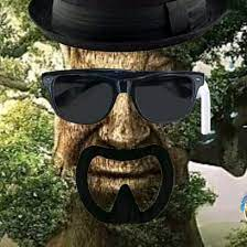 Sigma Tier List (Community Rankings) - TierMaker